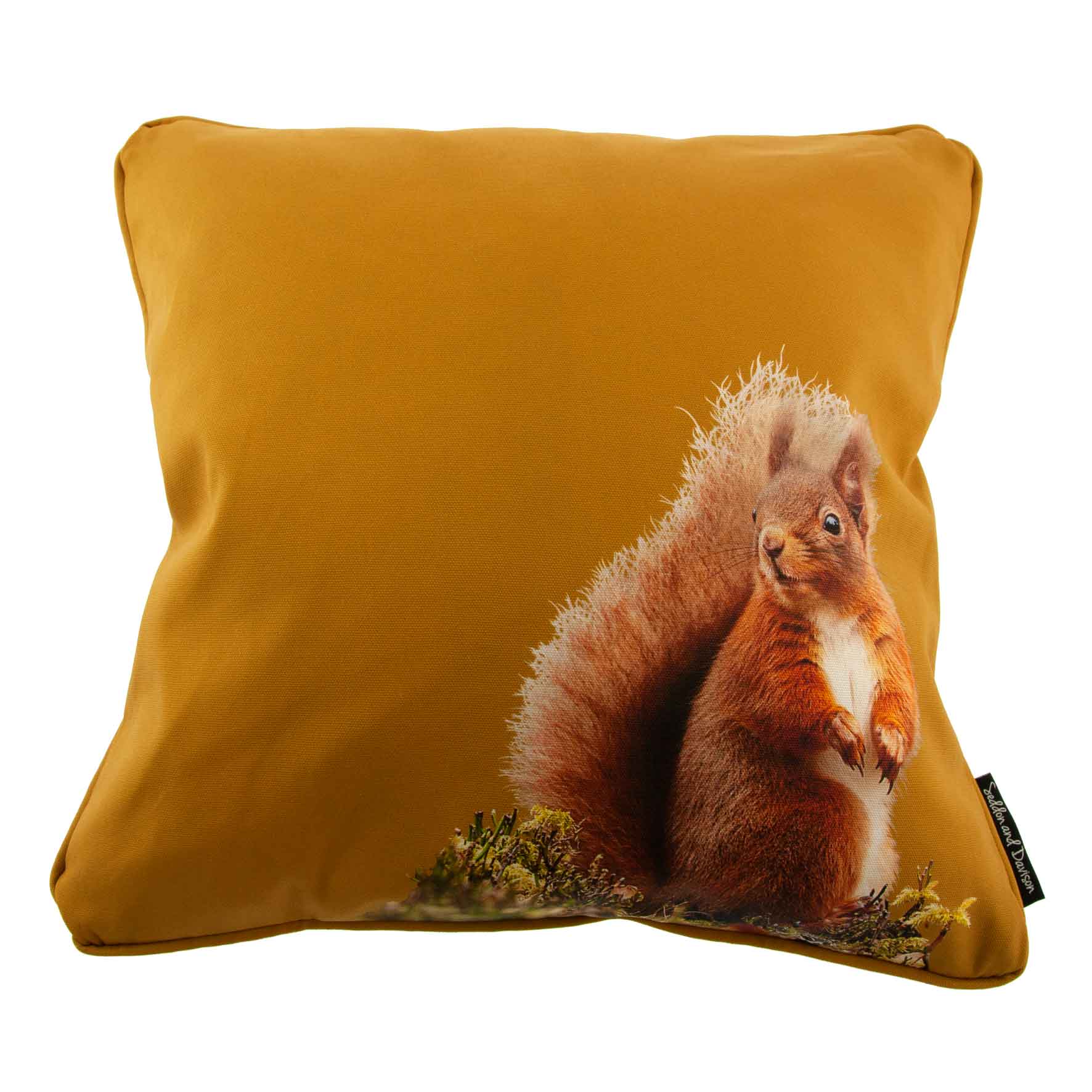 Red Squirrel Cushion